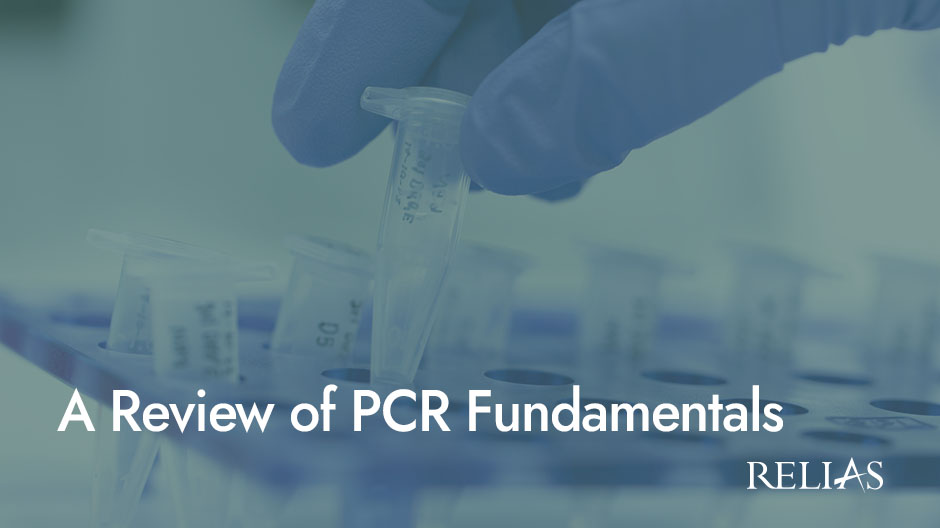 A Review of PCR Fundamentals | Relias Academy