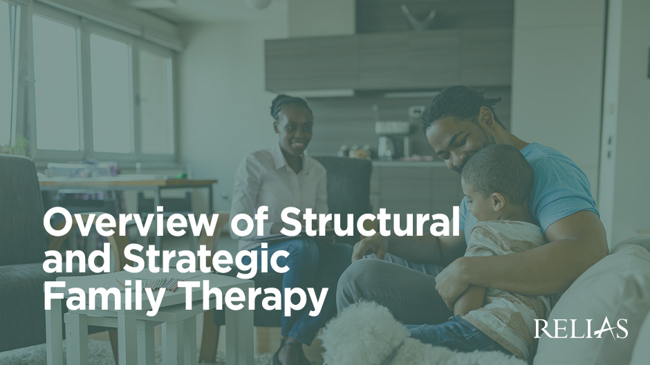 Overview of Structural and Strategic Family Therapy | Relias Academy