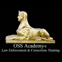 Texas State and Federal Law Update #3182 (TCOLE) | RELIAS ACADEMY