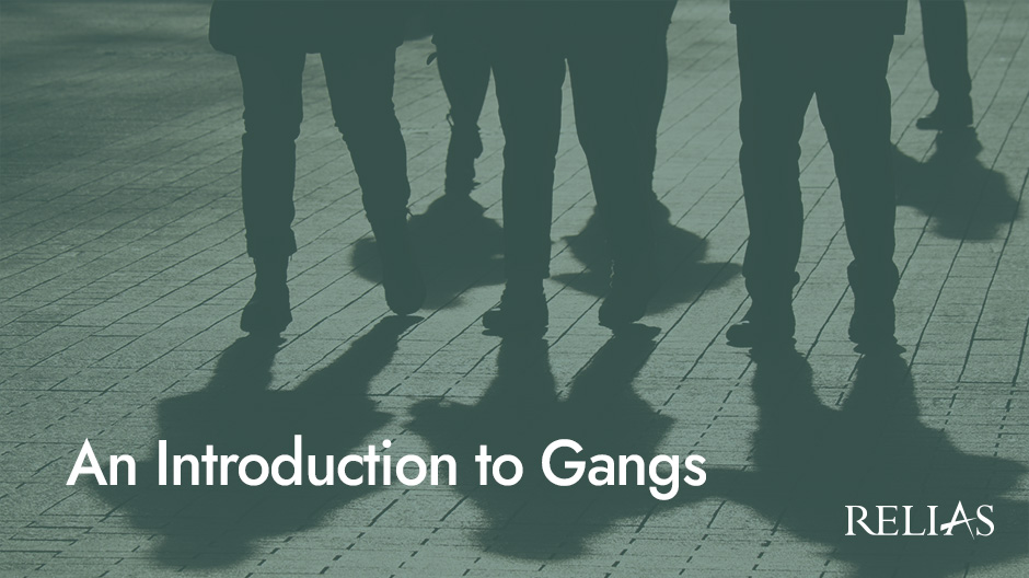 An Introduction to Gangs | Relias Academy