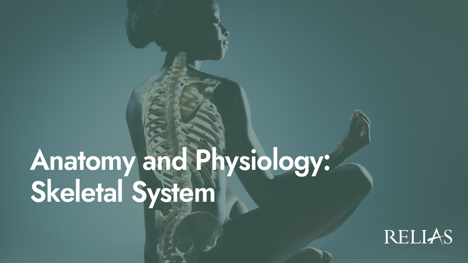 Anatomy and Physiology: Skeletal System | Relias Academy